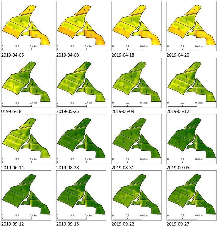 Sentinel-2 data and vegetation indices